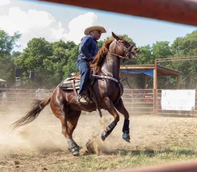 Pembroke Rodeo | Enjoy Illinois