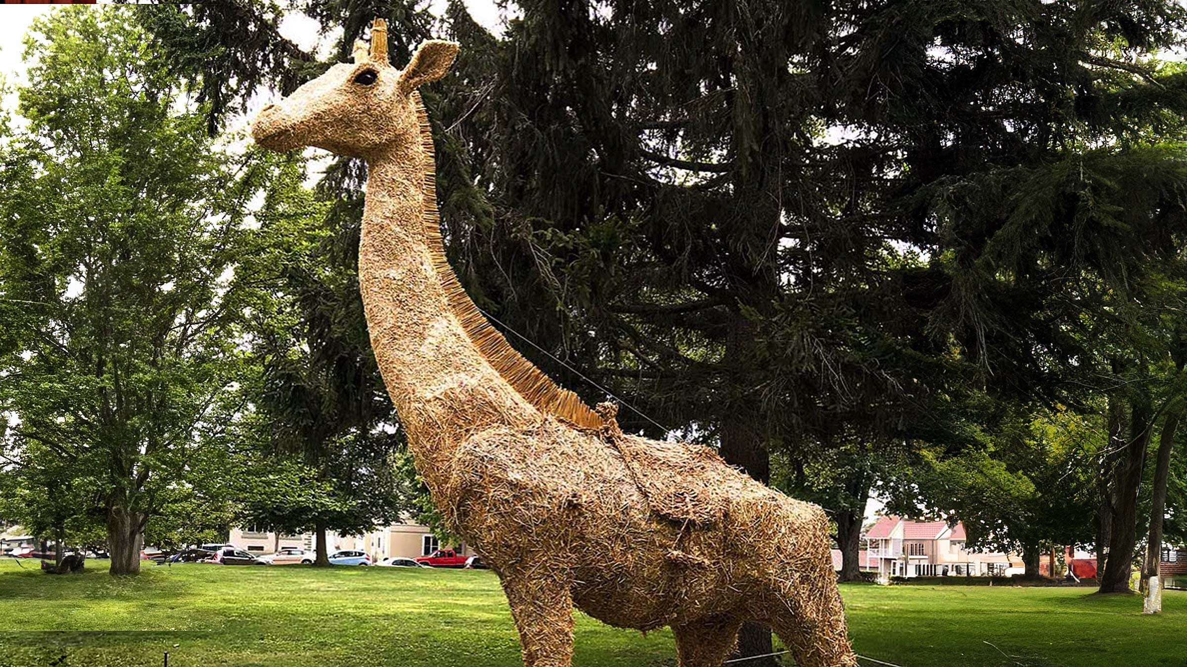 Mt. Morris National Straw Sculpting Competition | Enjoy Illinois