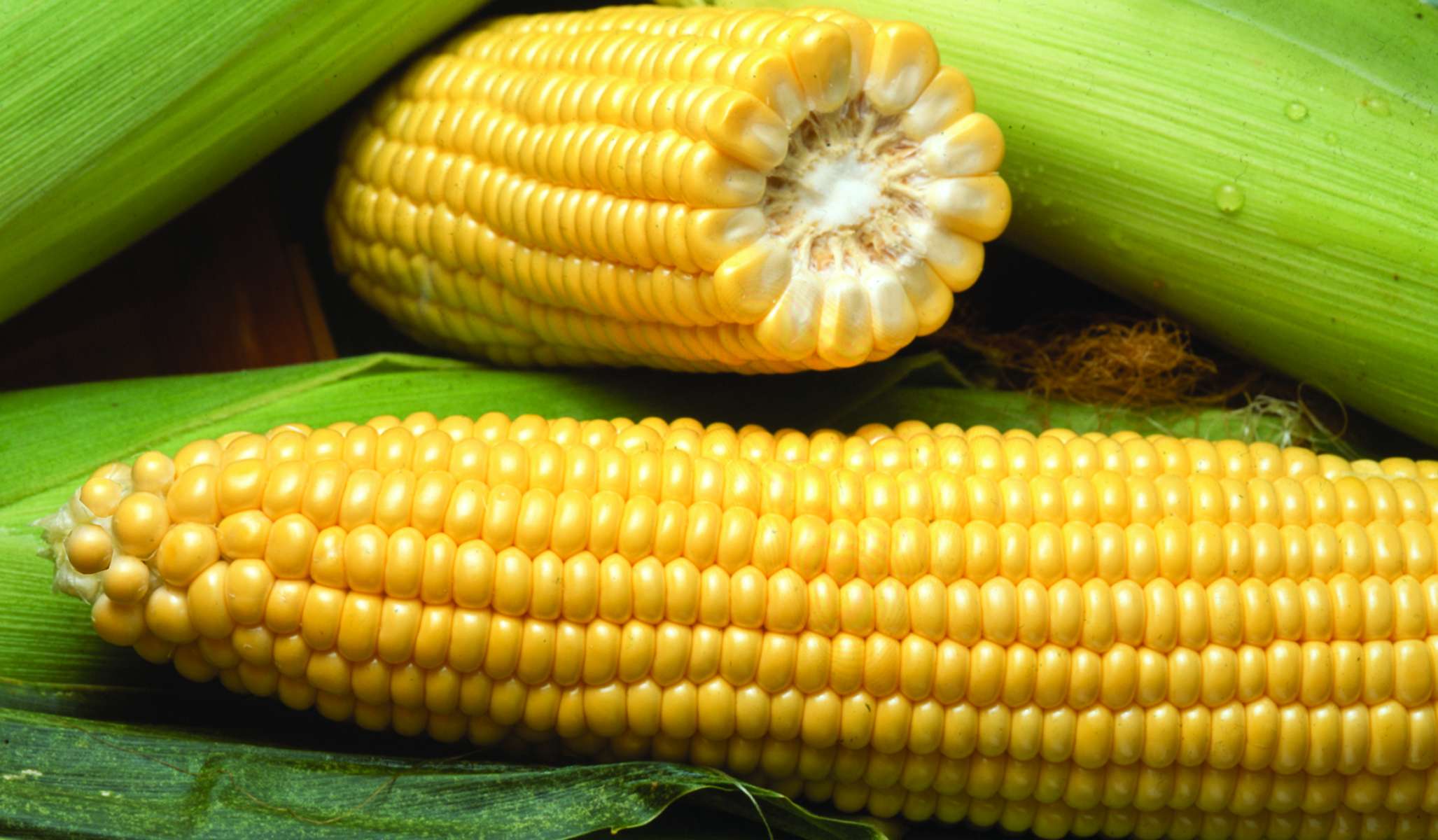 79th Annual National Sweetcorn Festival | Enjoy Illinois