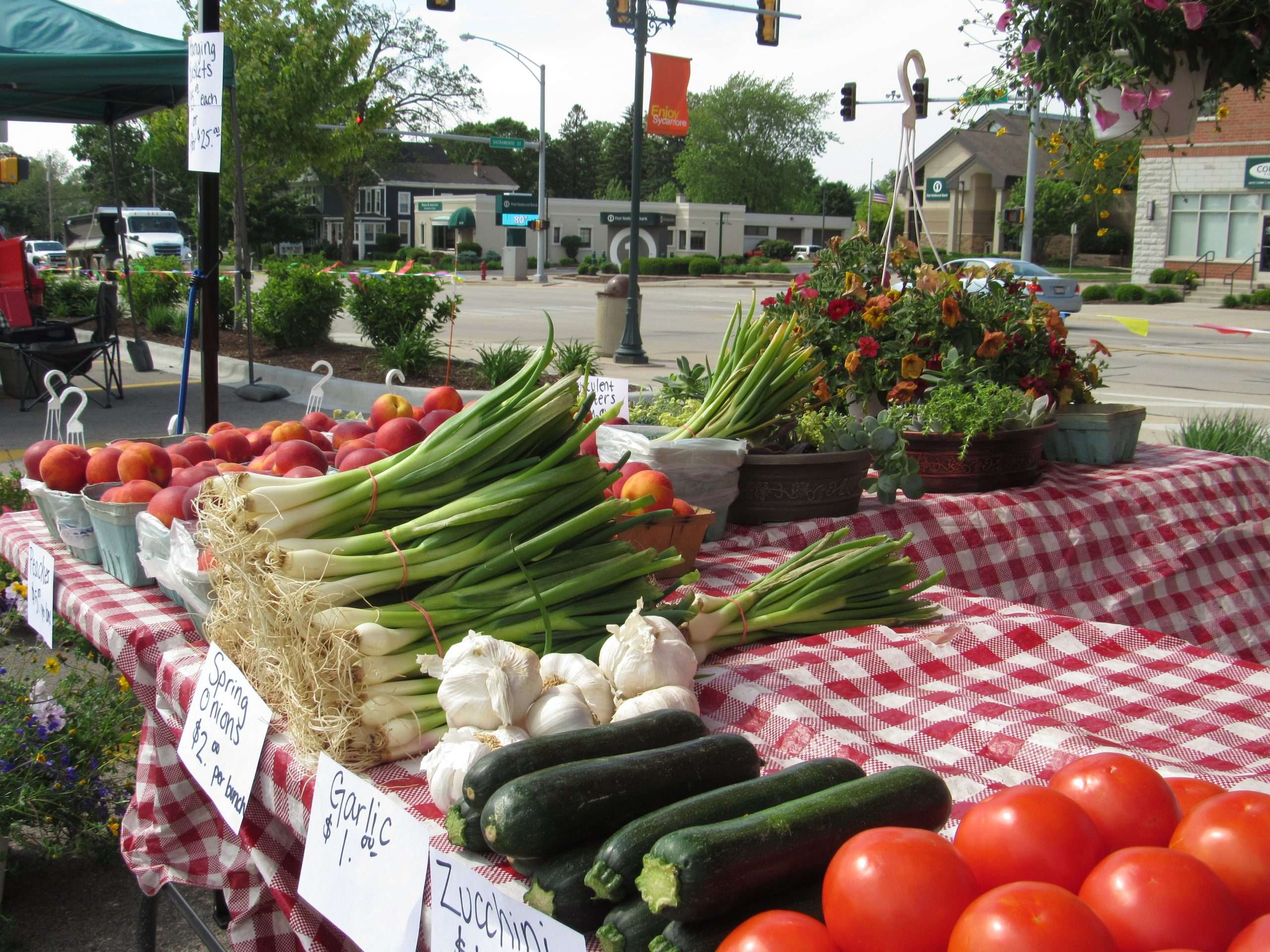 Sycamore Farmers Market | Enjoy Illinois
