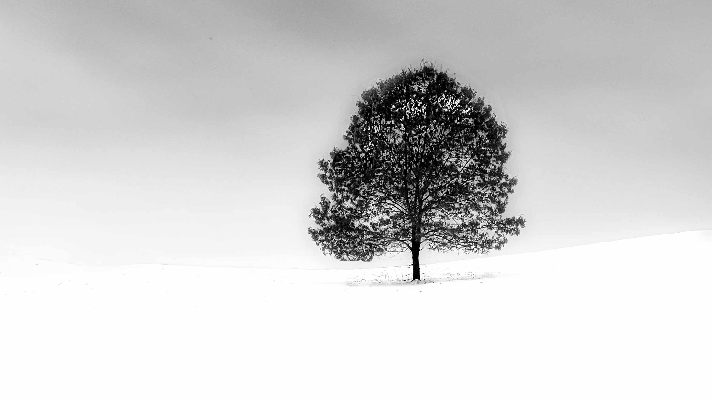 Winter Scenes & Holiday Dreams Holiday Exhibition | Enjoy Illinois