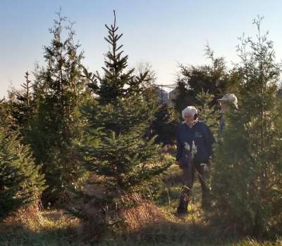Pioneer Tree Farm | Enjoy Illinois