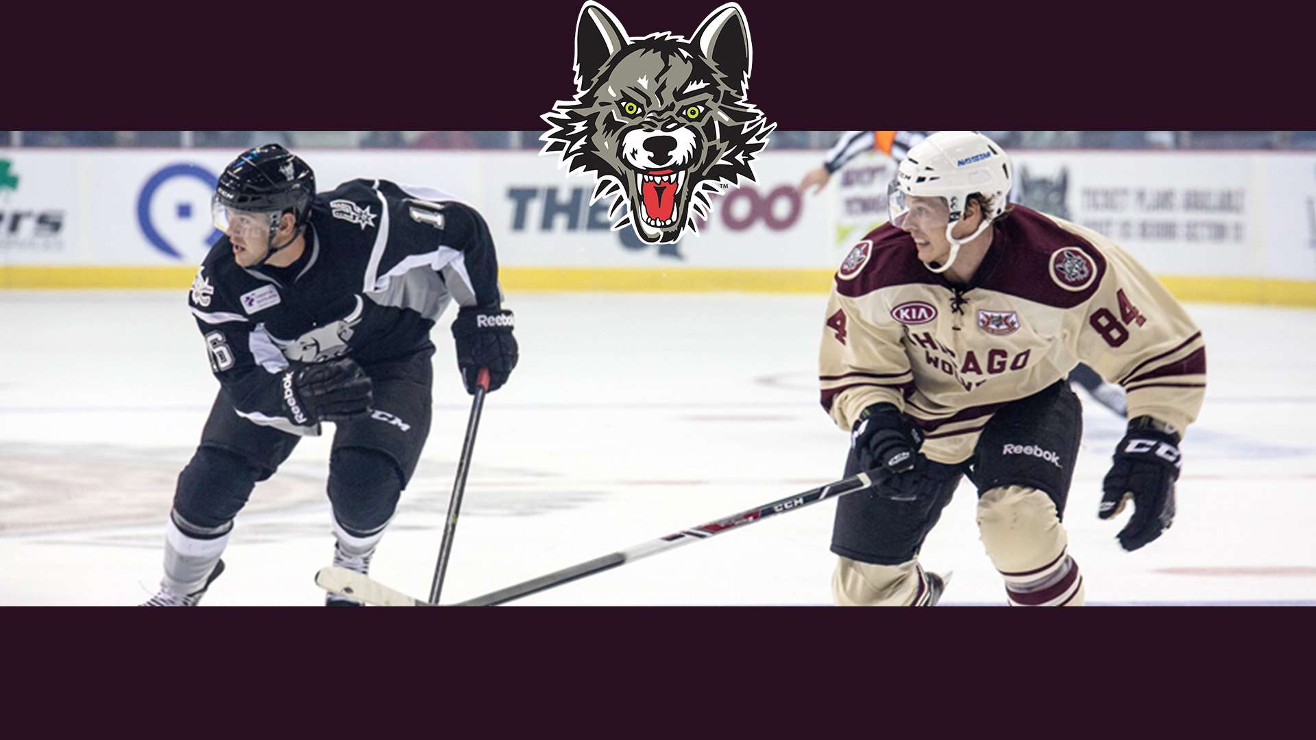 Chicago Wolves | Enjoy Illinois